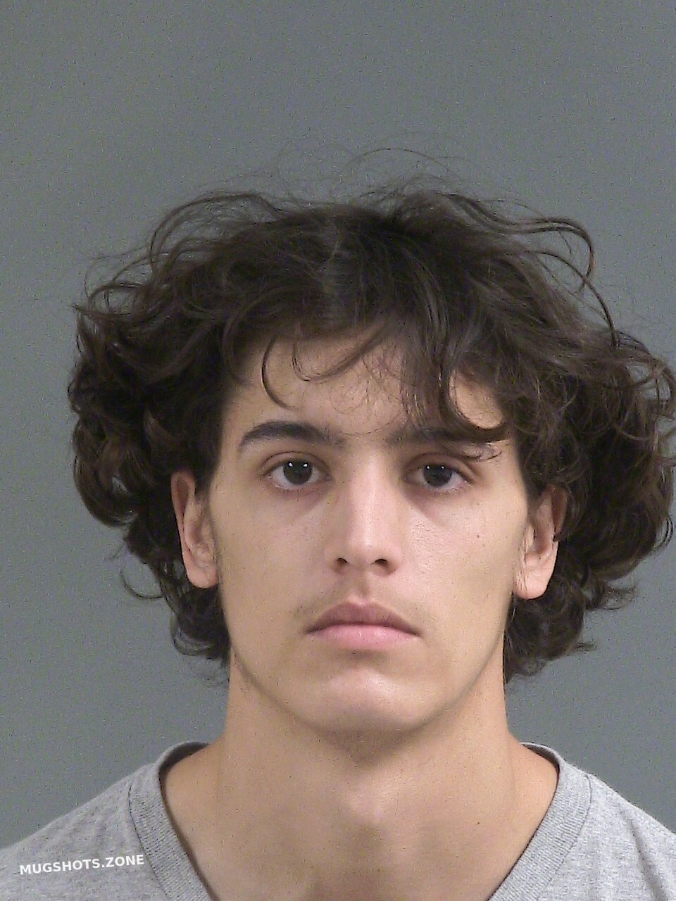 CLARK LANDYN SETH 02/09/2025 - Charleston County Mugshots Zone