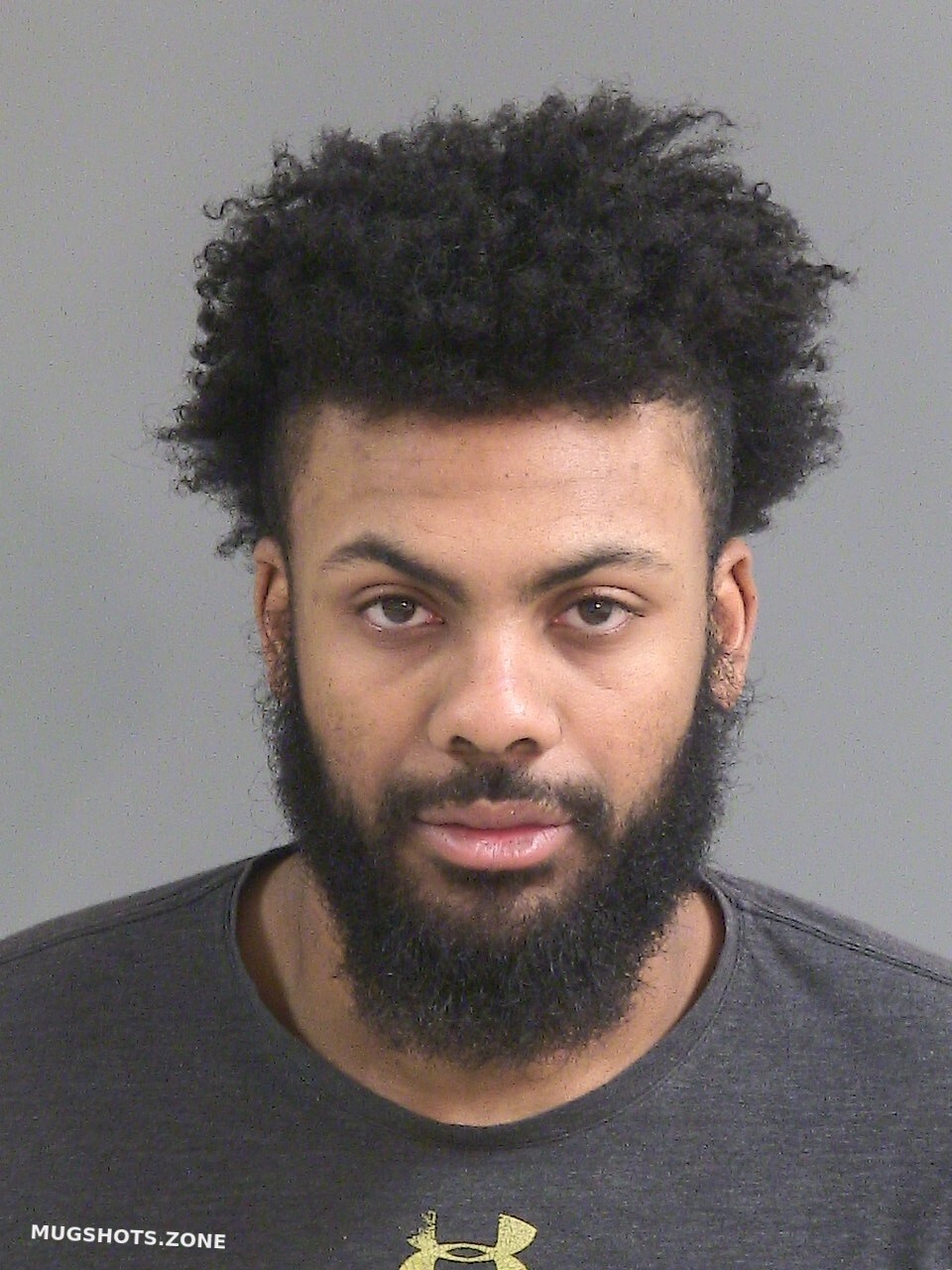 HYDE BLAKE HAMILTON 02/15/2025 - Charleston County Mugshots Zone