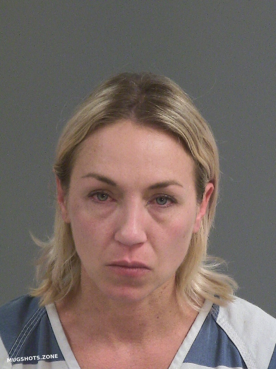 POZZUTO ALLISON R 03/07/2025 - Charleston County Mugshots Zone