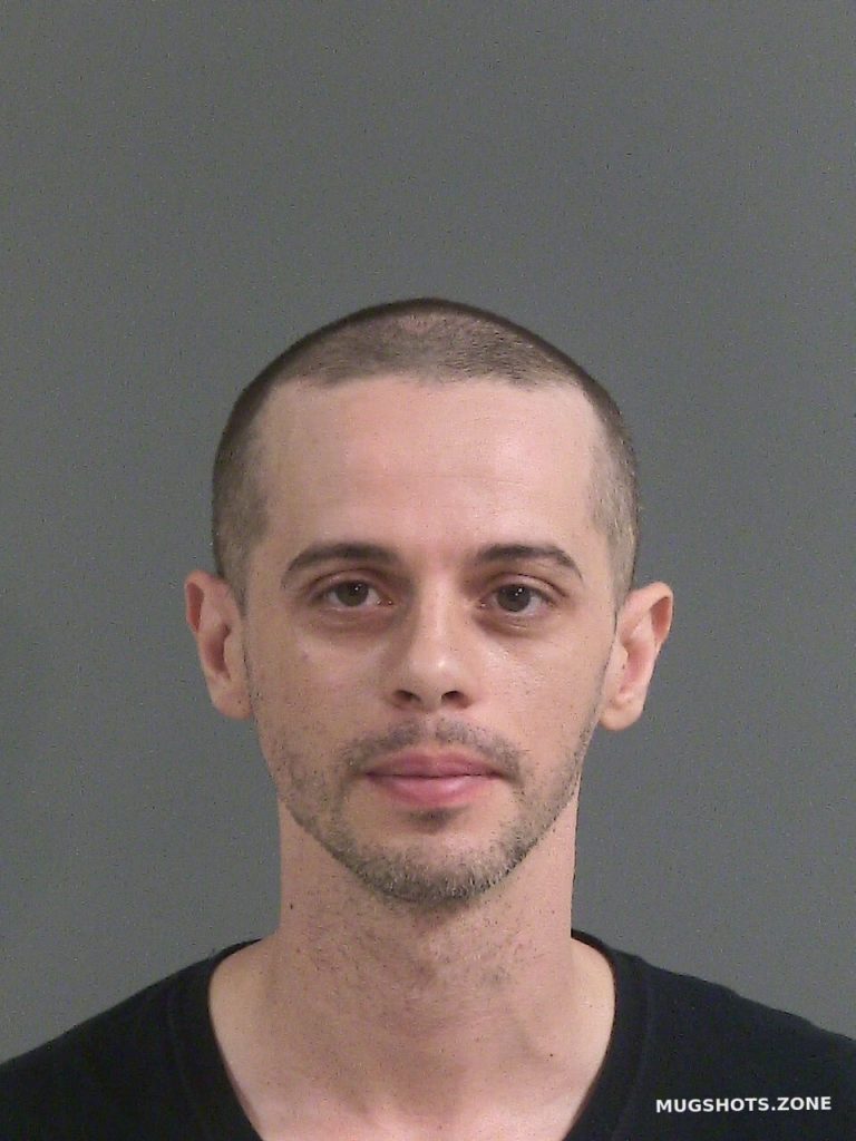 LOCKLEAR FRANK EDWARD 03/14/2025 - Charleston County Mugshots Zone