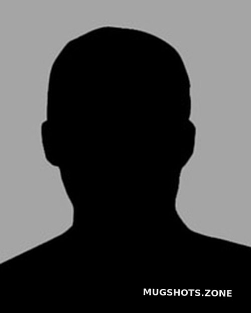 KING CIEARA NICHOLE 03/21/2025 - Charleston County Mugshots Zone