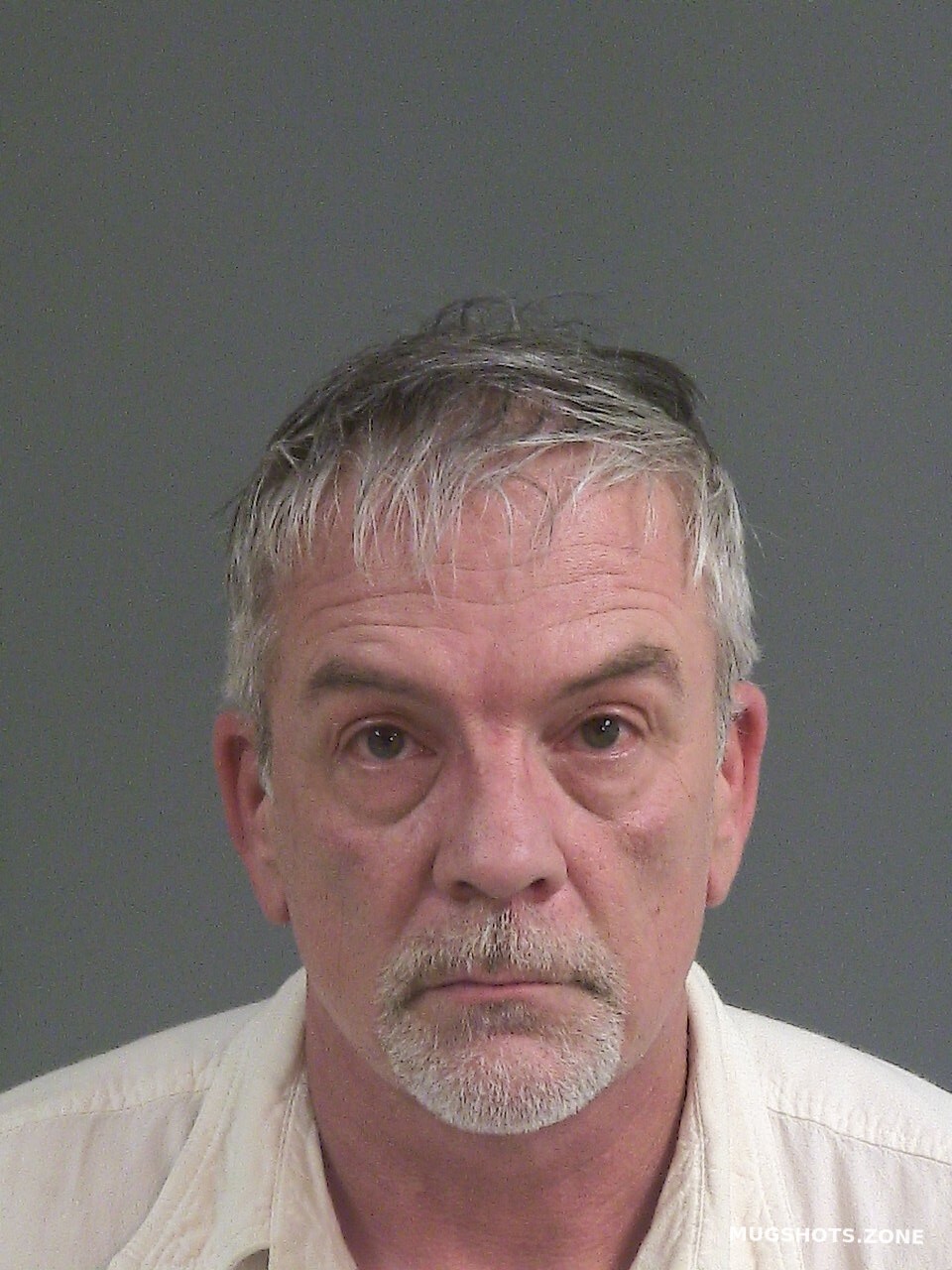 LOWE JAMES RM 03/29/2025 - Charleston County Mugshots Zone