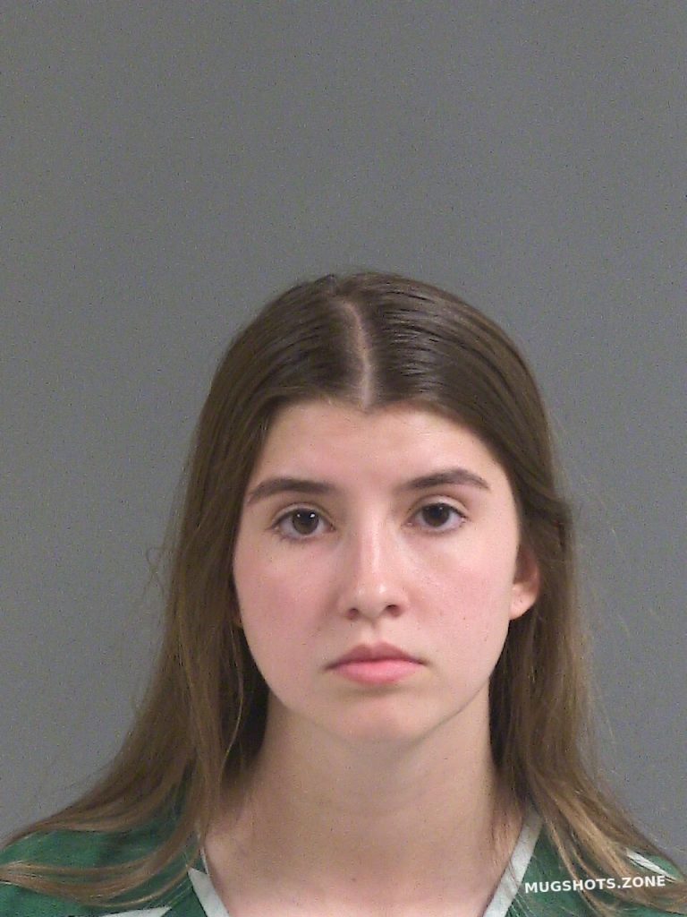 ENGEL MORGAN ALYSSA 04/02/2025 - Charleston County Mugshots Zone