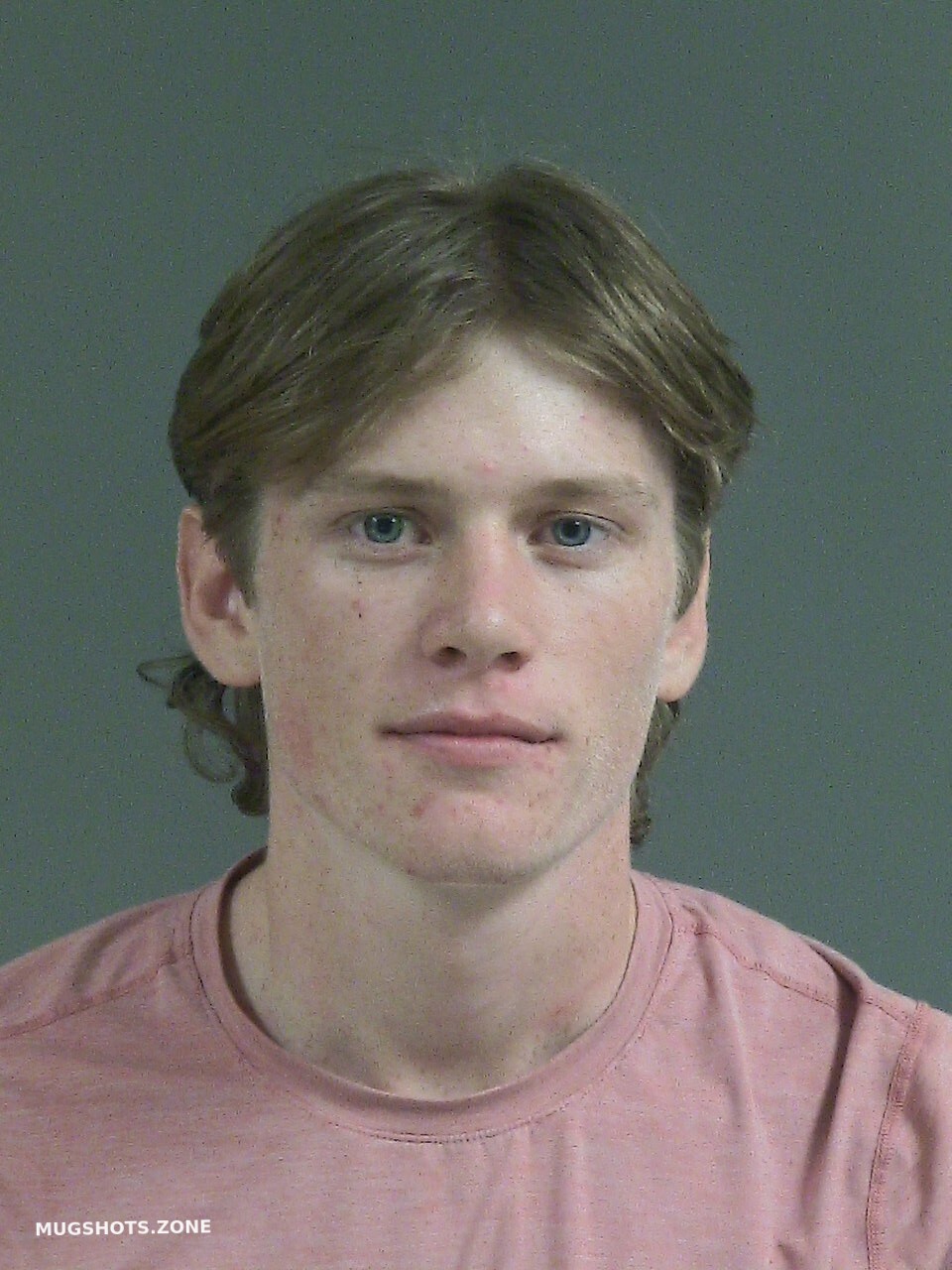 RAMSEY HENRY 04/02/2025 - Charleston County Mugshots Zone