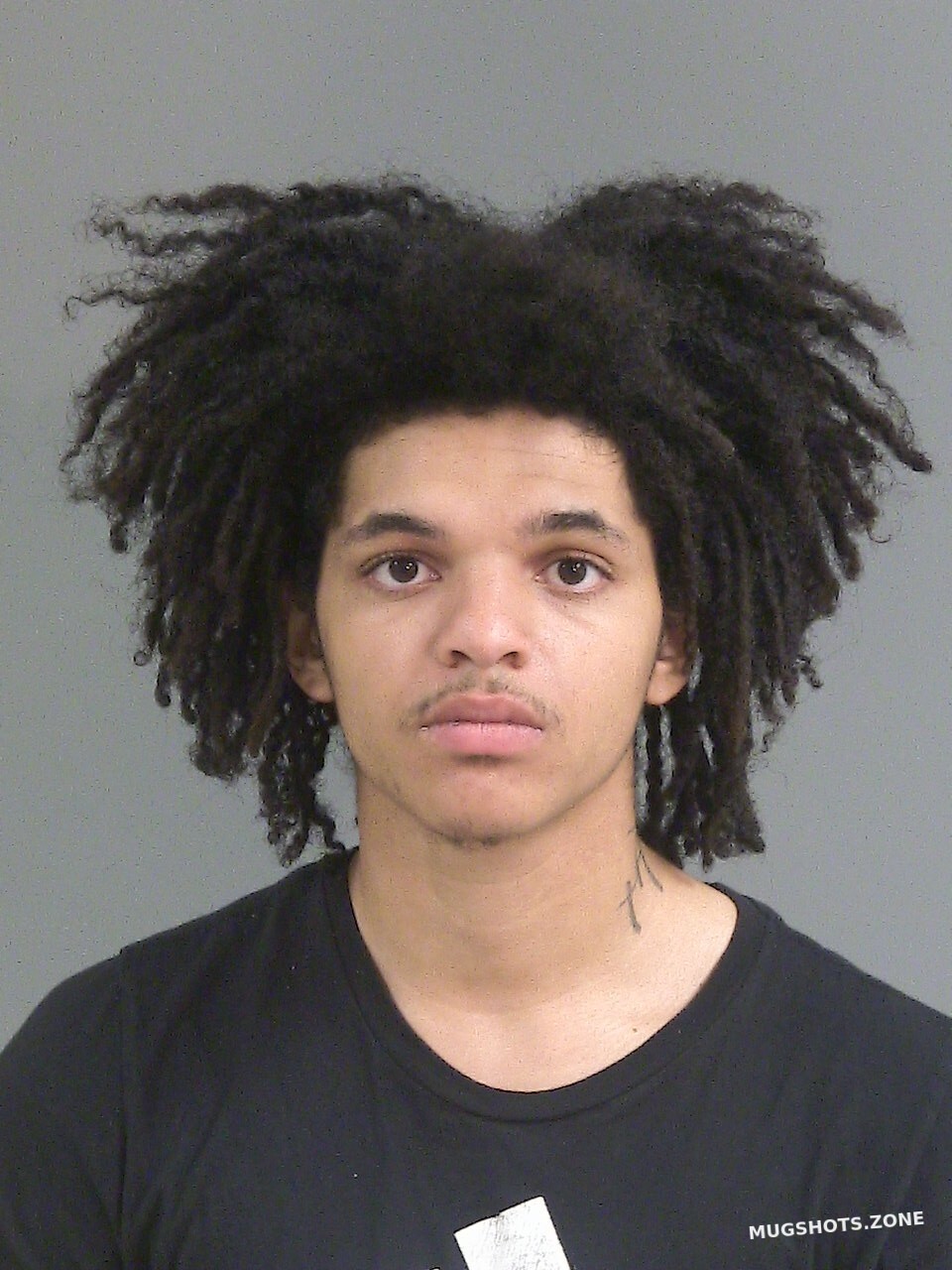 ELLISON SEAN MICHAEL 04/14/2025 - Charleston County Mugshots Zone