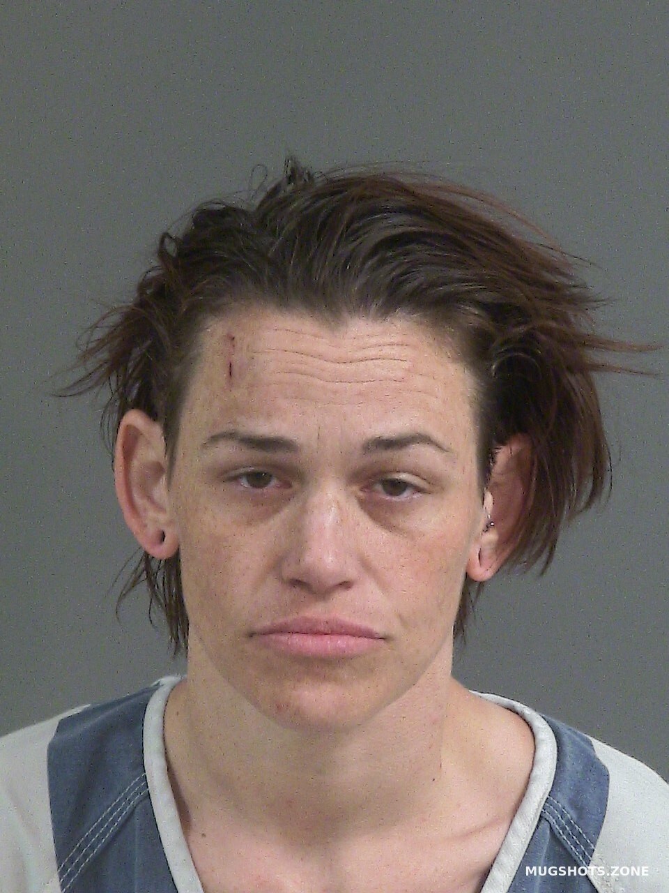 FERGUSON JESSICA MARIE 04/16/2025 - Charleston County Mugshots Zone