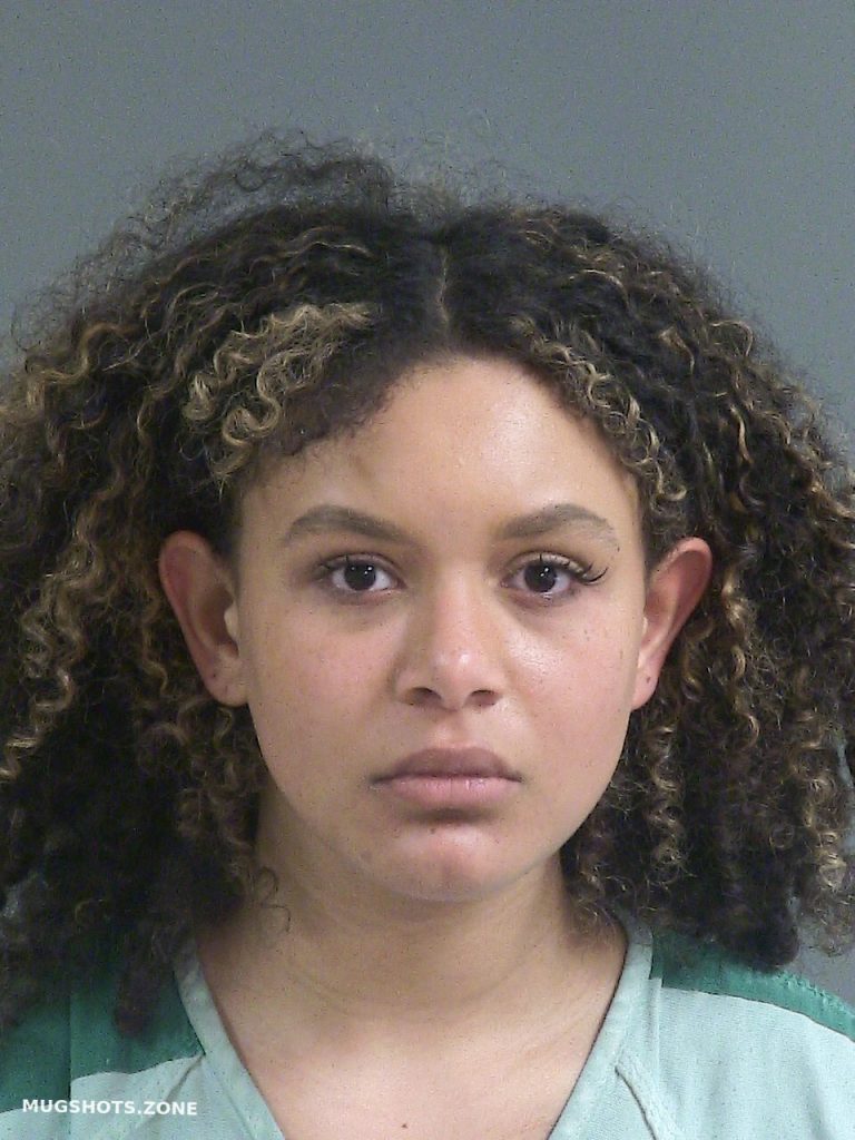 DAVIS AUDREY ISBELLA 04/25/2025 - Charleston County Mugshots Zone