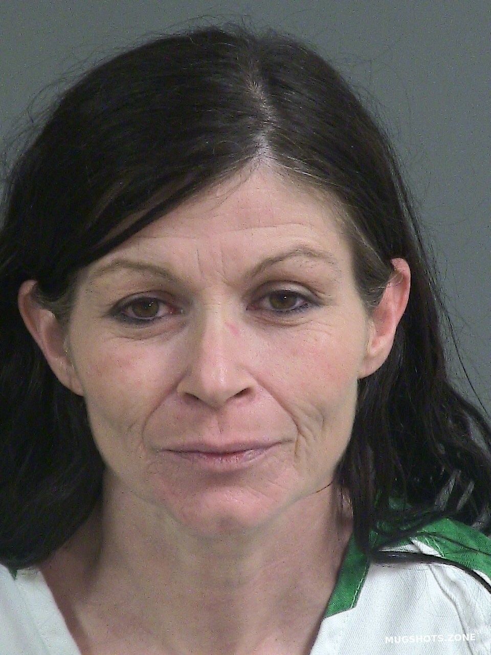 COLVIN VIRGINIA LYNN 04/27/2025 - Charleston County Mugshots Zone