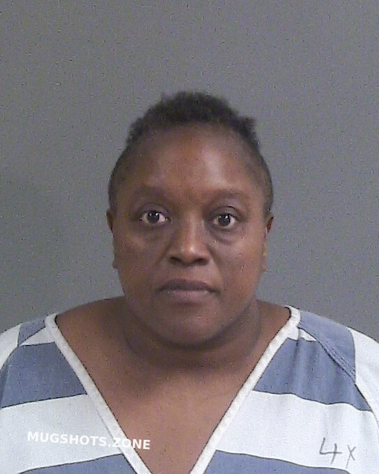 HARRISON DAWN DENISE 05/23/2025 - Charleston County Mugshots Zone