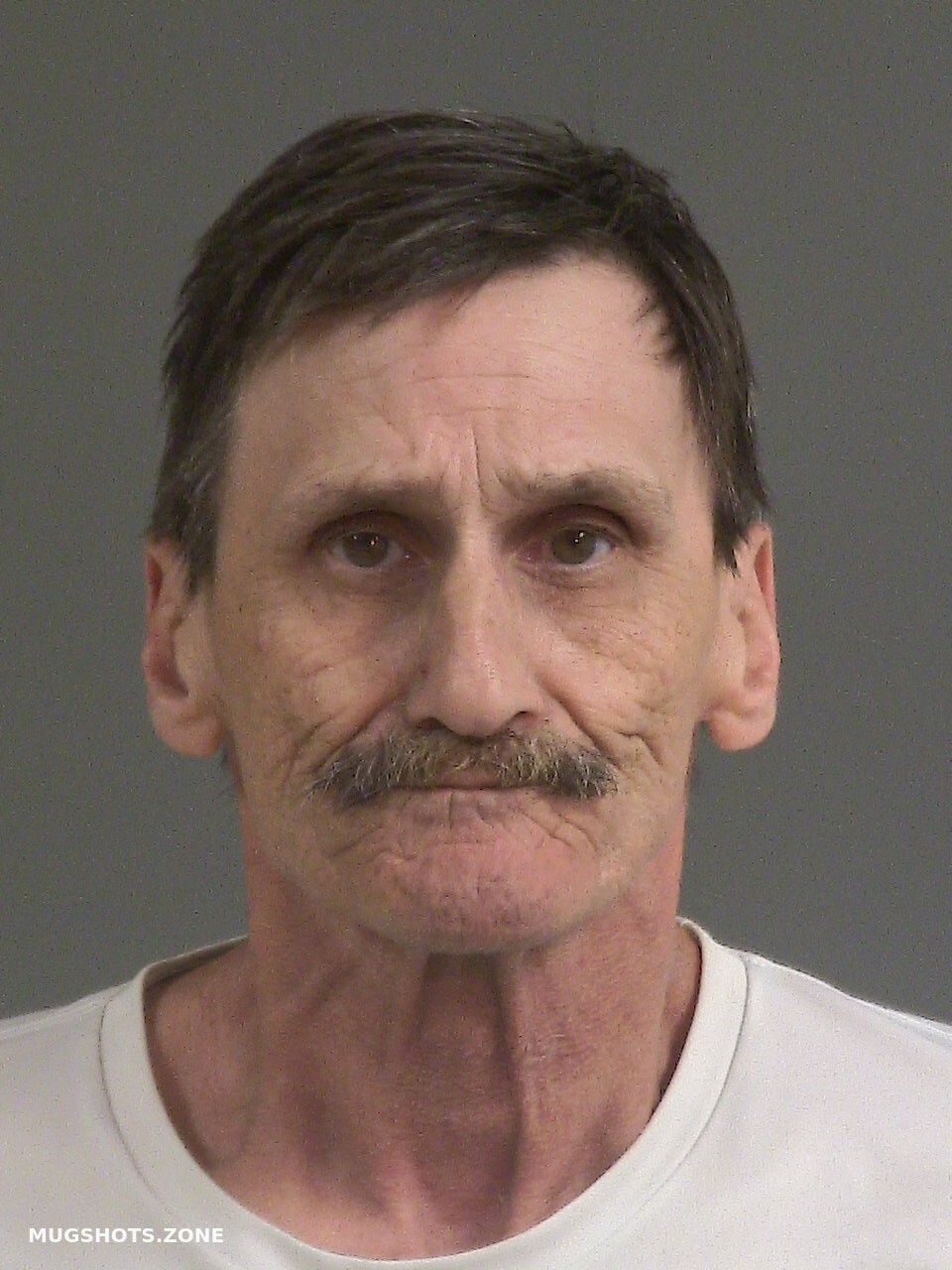 FERENSIC WILLIAM PETER 05/24/2025 - Charleston County Mugshots Zone