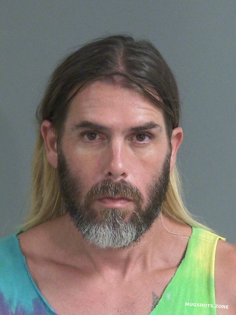 WILLIAMS RICHARD DELANO 06/15/2025 - Charleston County Mugshots Zone