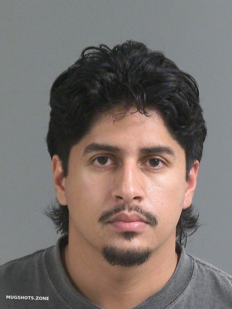 GEORGE ERICK ALEXANDER 06/15/2025 - Charleston County Mugshots Zone