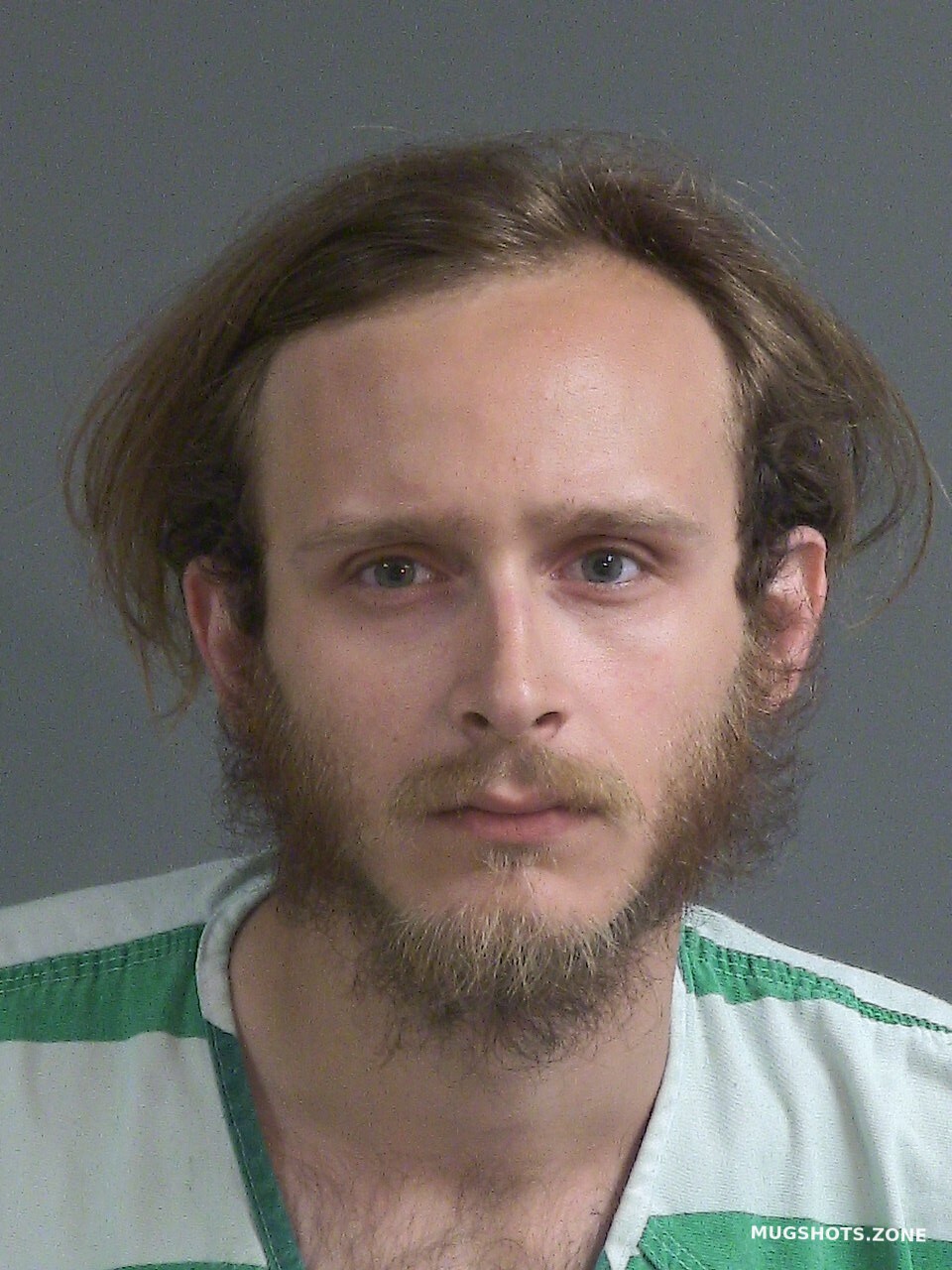 REED NATHAN 06/17/2025 - Charleston County Mugshots Zone