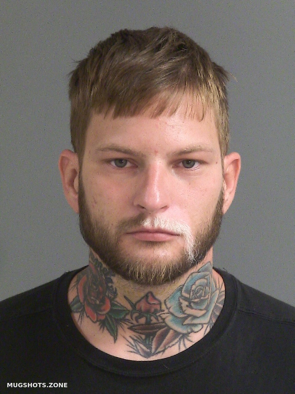 SINGLETARY JOSEPH STEVEN LOUIS 07/23/2025 - Charleston County Mugshots Zone