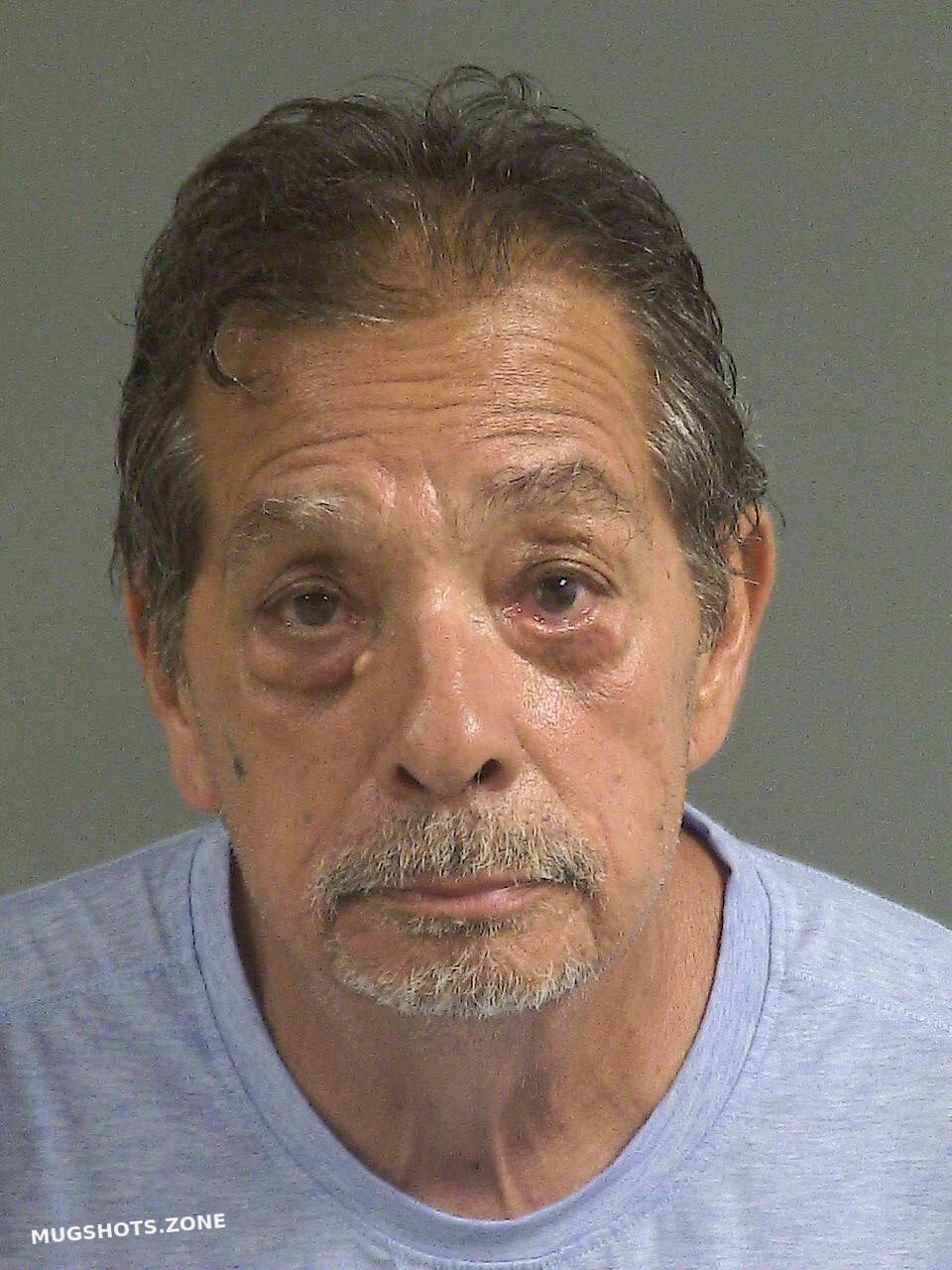 PERRI FRANK 07/25/2025 - Charleston County Mugshots Zone