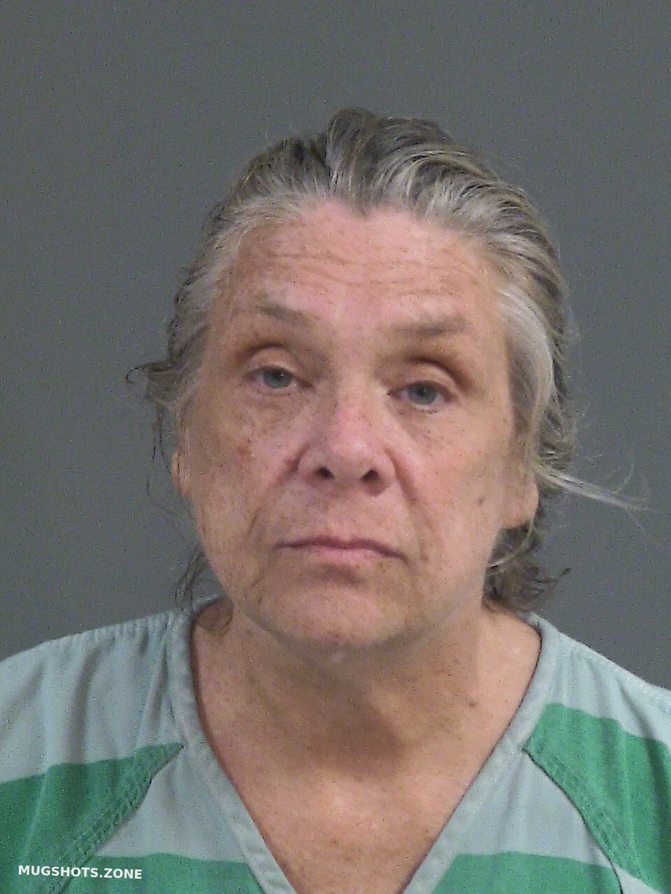 BROWN TINA RENEE 08/14/2025 - Charleston County Mugshots Zone