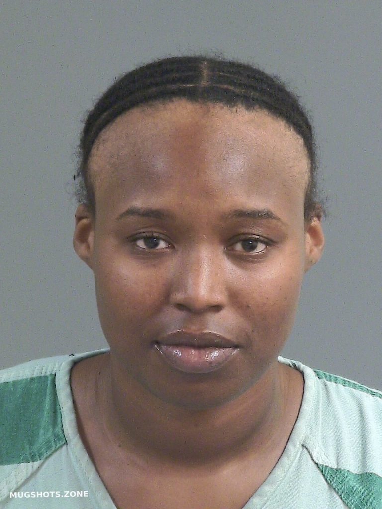 MCNEIL CHELSEA PAIGE 08/29/2025 - Charleston County Mugshots Zone