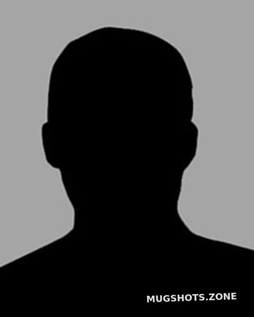 ALLEMAND ANDREA 11/01/2025 - Charleston County Mugshots Zone