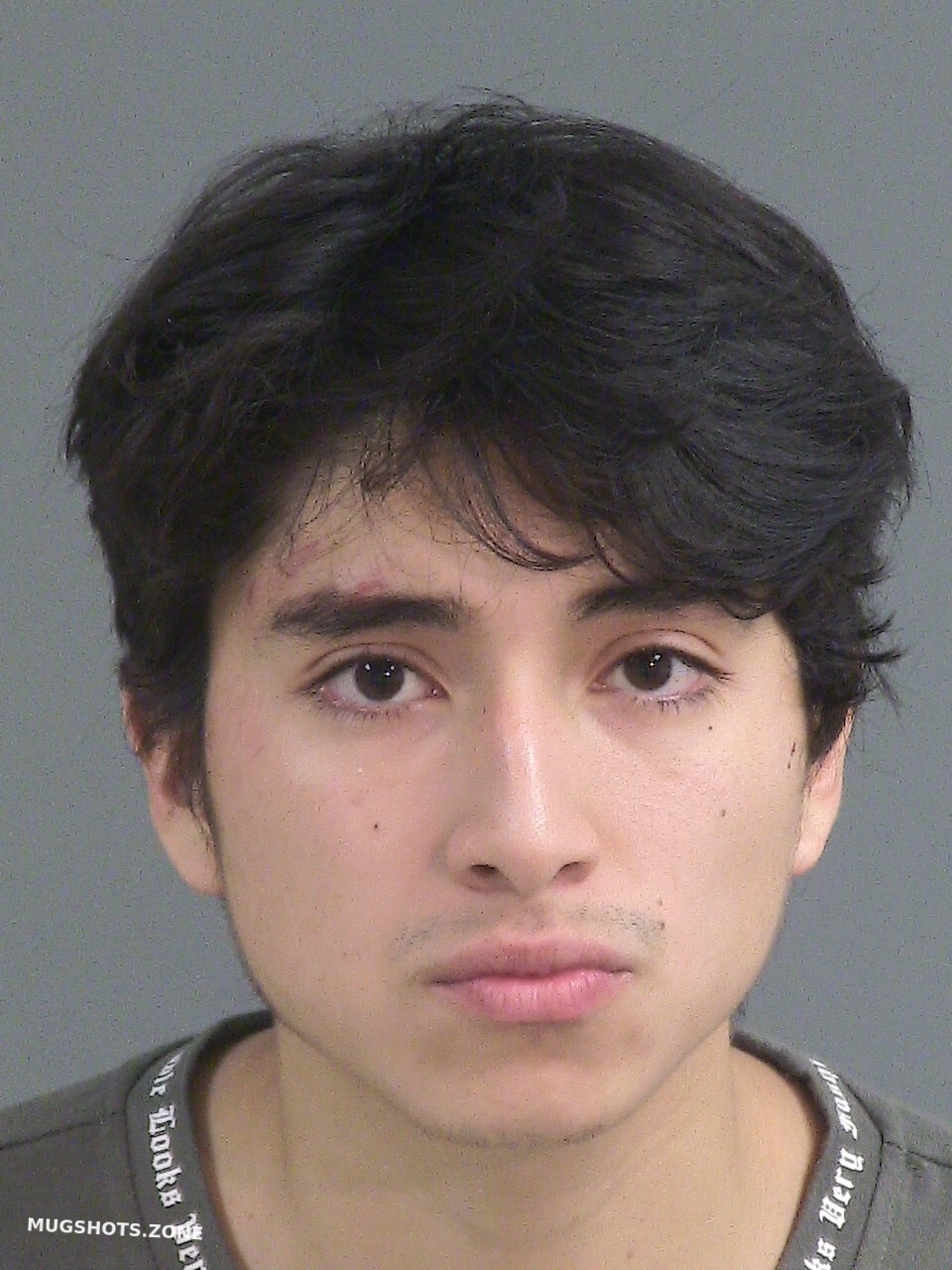 GARCIA DYLAN 01/03/2026 - Charleston County Mugshots Zone