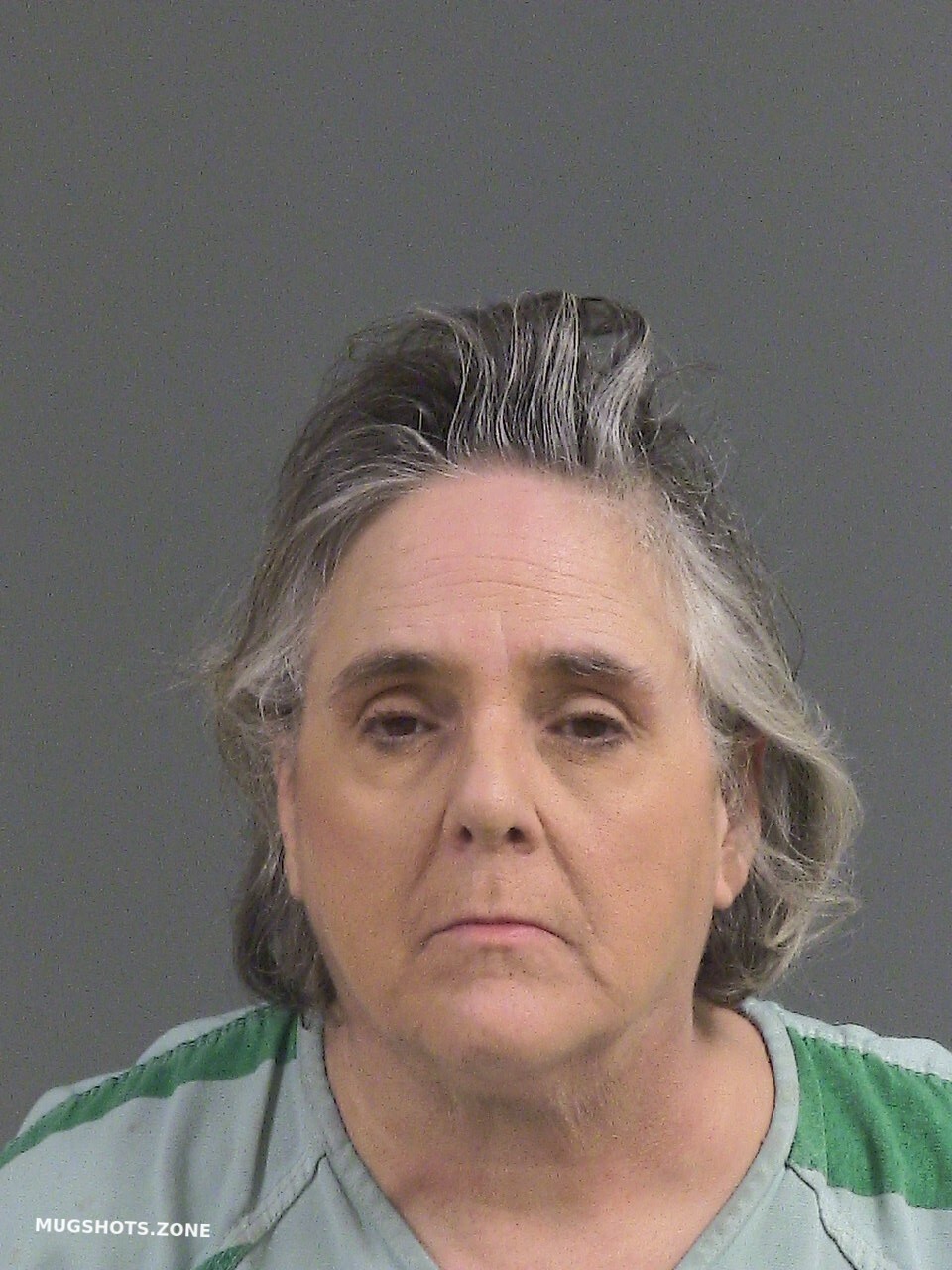 RUDD SANDRA LYNN 01/20/2026 - Charleston County Mugshots Zone