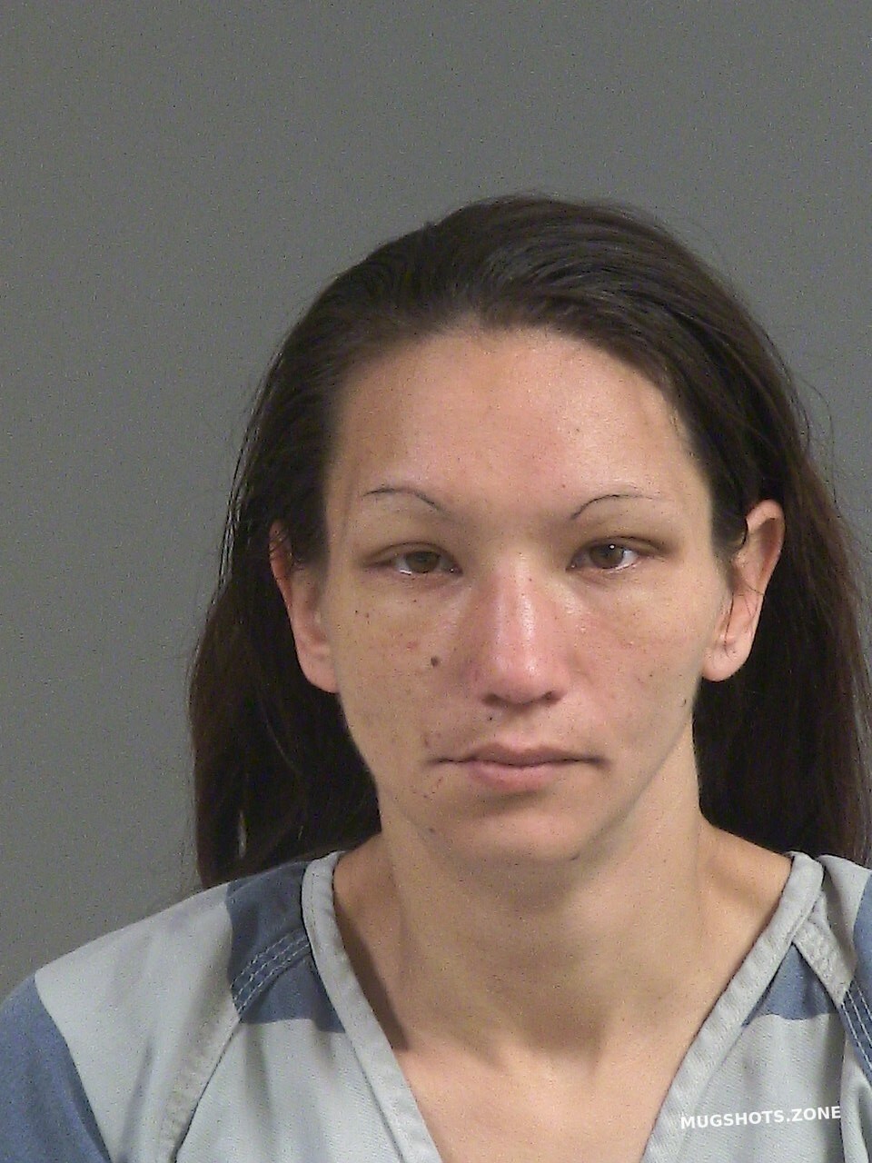 SKARZYNSKI KATELYNN MARIE 02/06/2026 - Charleston County Mugshots Zone