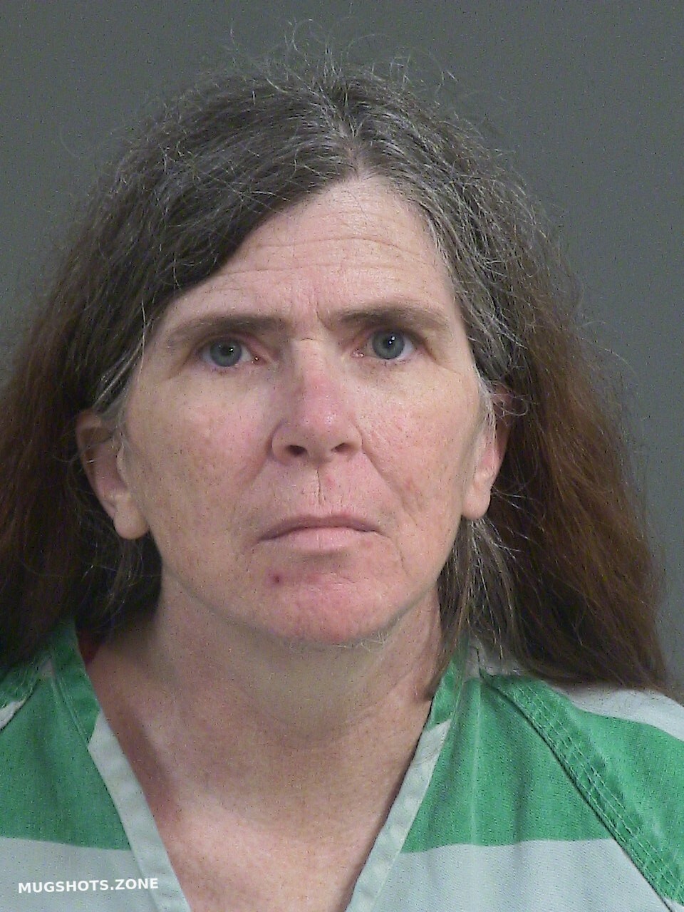 CHAMBERS ALISON DENISE 02/27/2026 - Charleston County Mugshots Zone