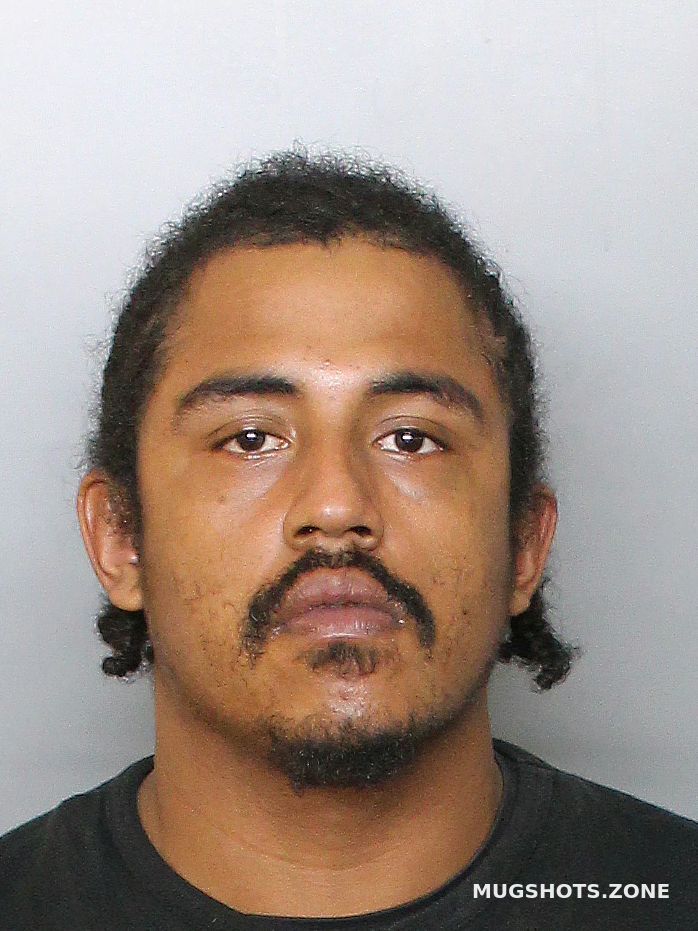 BROWN ADRIAN DION 03/19/2021 - Charlotte County Mugshots Zone