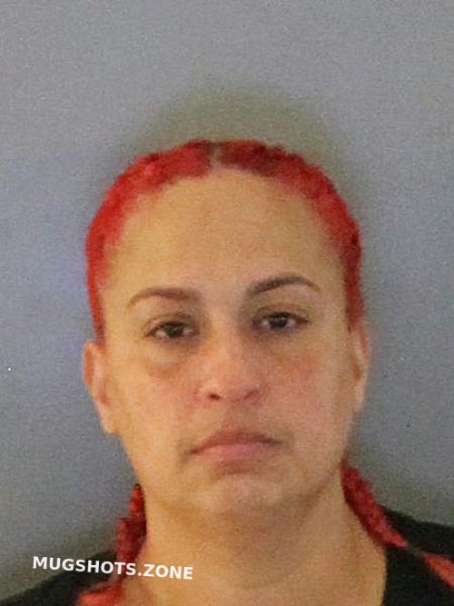 SANTIAGO-BONILLA ROSA HAYDEE 04/01/2021 - Charlotte County Mugshots Zone