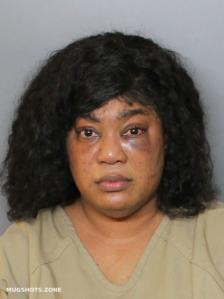 DORVIL STEPHANIE 04/04/2021 - Charlotte County Mugshots Zone