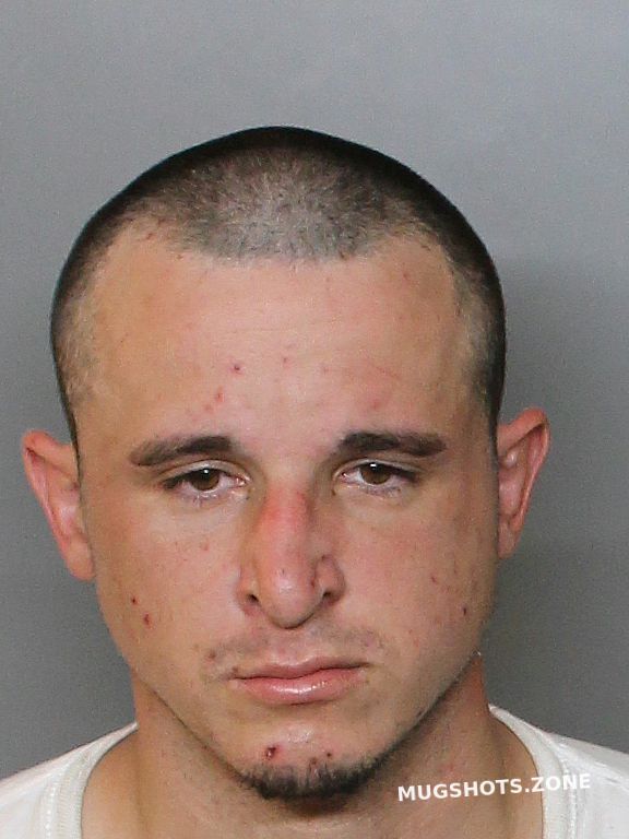 INCITTI RAINER SAGE 04/16/2021 - Charlotte County Mugshots Zone