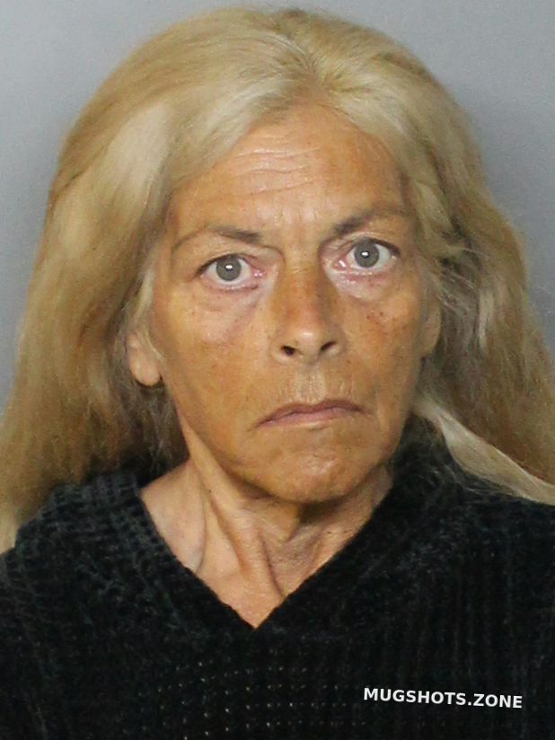 HENEAULT DOREEN ANN 06/06/2022 - Charlotte County Mugshots Zone