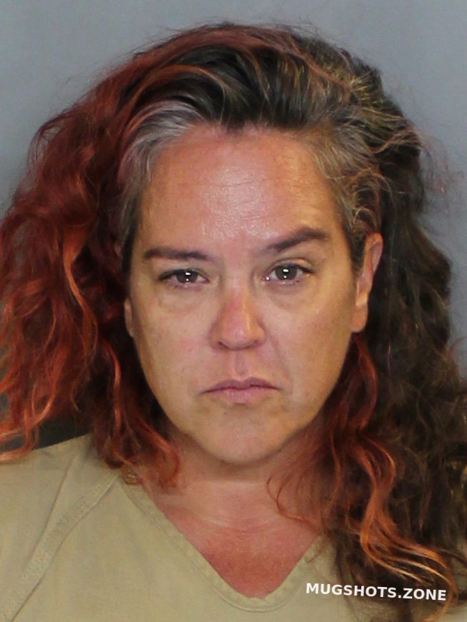 OBERG HEATHER LYN 07/13/2022 - Charlotte County Mugshots Zone