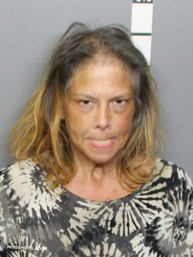 CHAMBLISS CARYN MICHELLE 10/18/2022 - Charlotte County Mugshots Zone