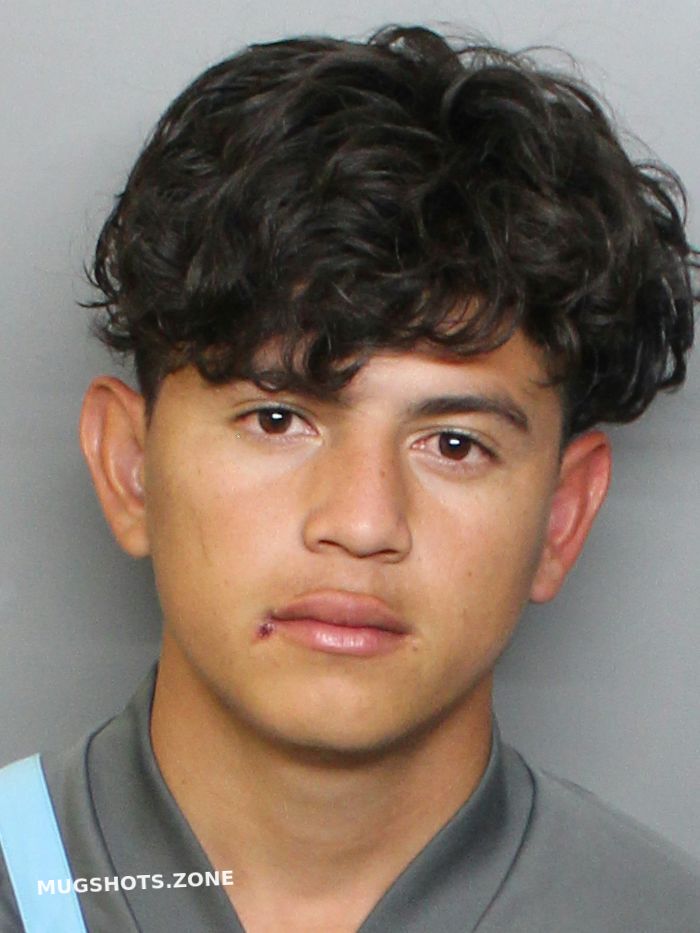 POSADA AMADOR RONY ALEXIS 10/23/2022 - Charlotte County Mugshots Zone