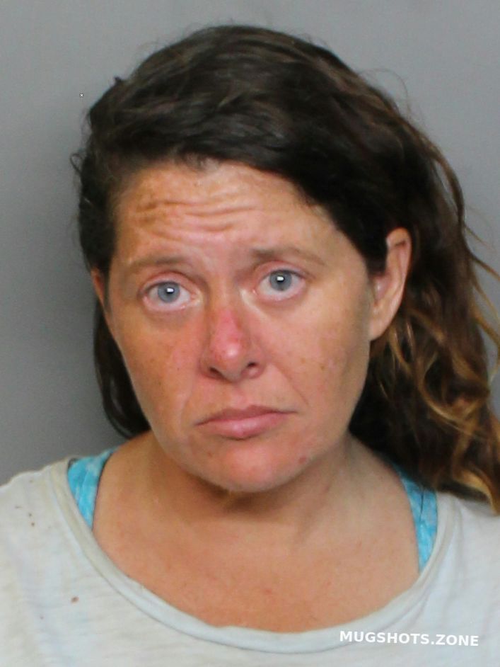 MATTESON HEATHER SUE 10/30/2022 - Charlotte County Mugshots Zone