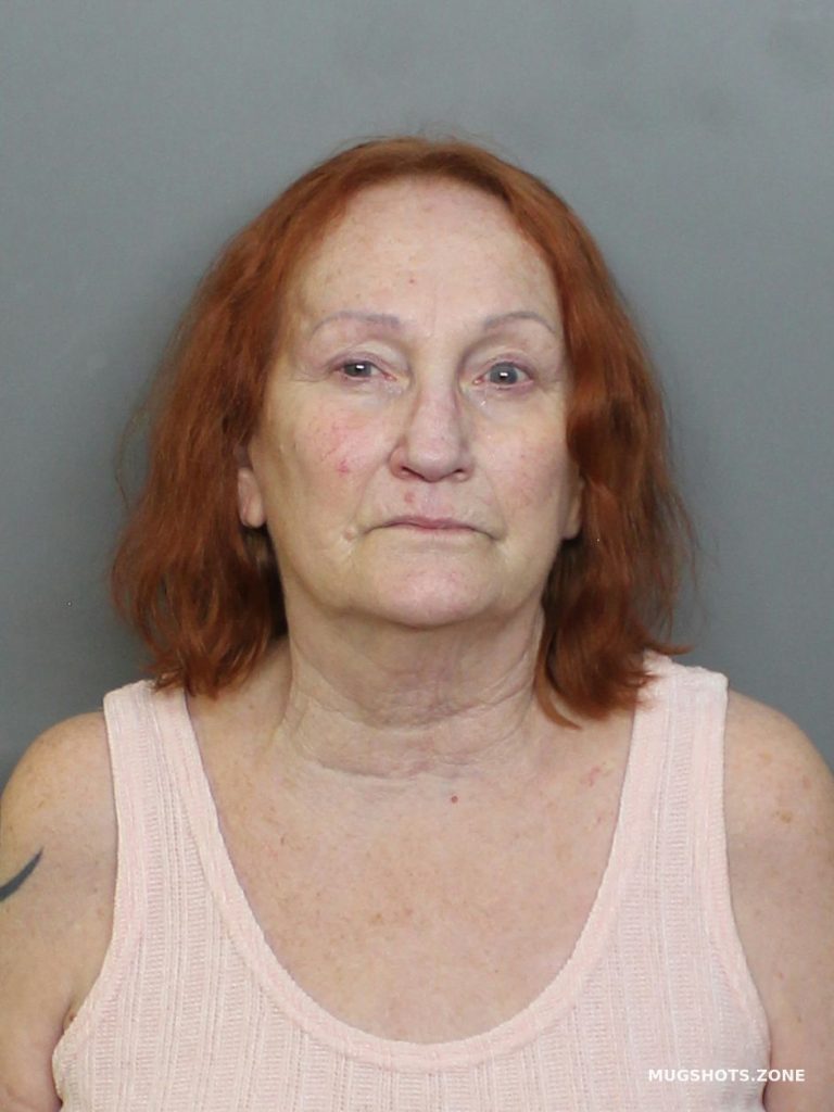 SINGER DEBORAH RUTH 11/06/2022 - Charlotte County Mugshots Zone