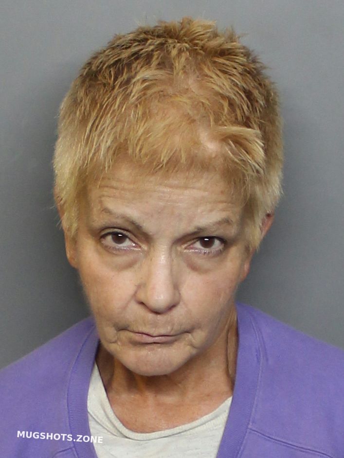 ROON CATHY LYNN 11/09/2022 - Charlotte County Mugshots Zone