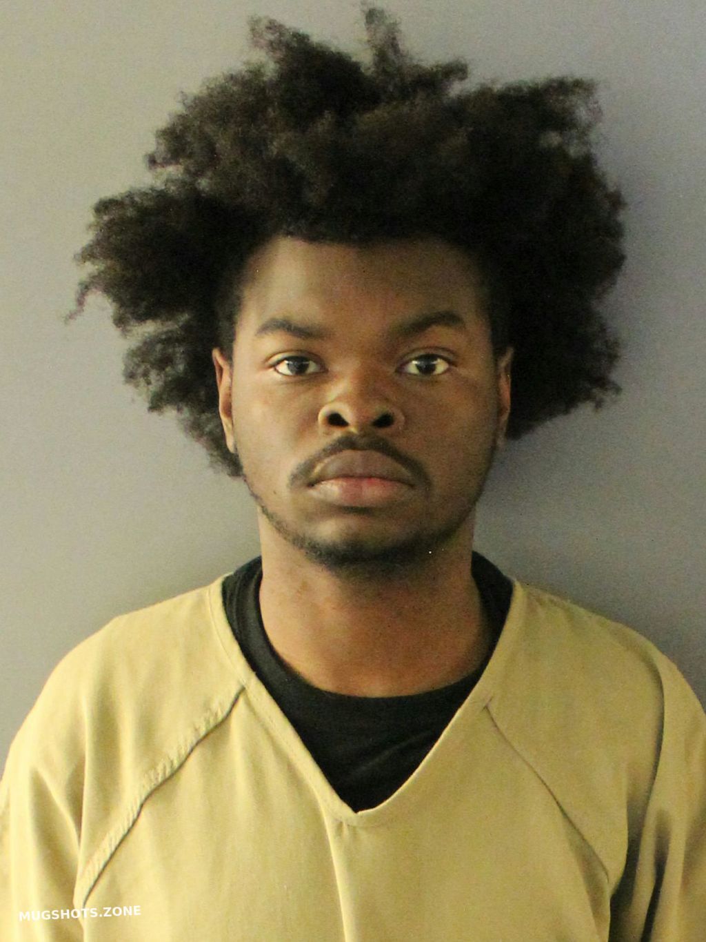 PIERRE ANDY IVERSON 12/21/2022 - Charlotte County Mugshots Zone