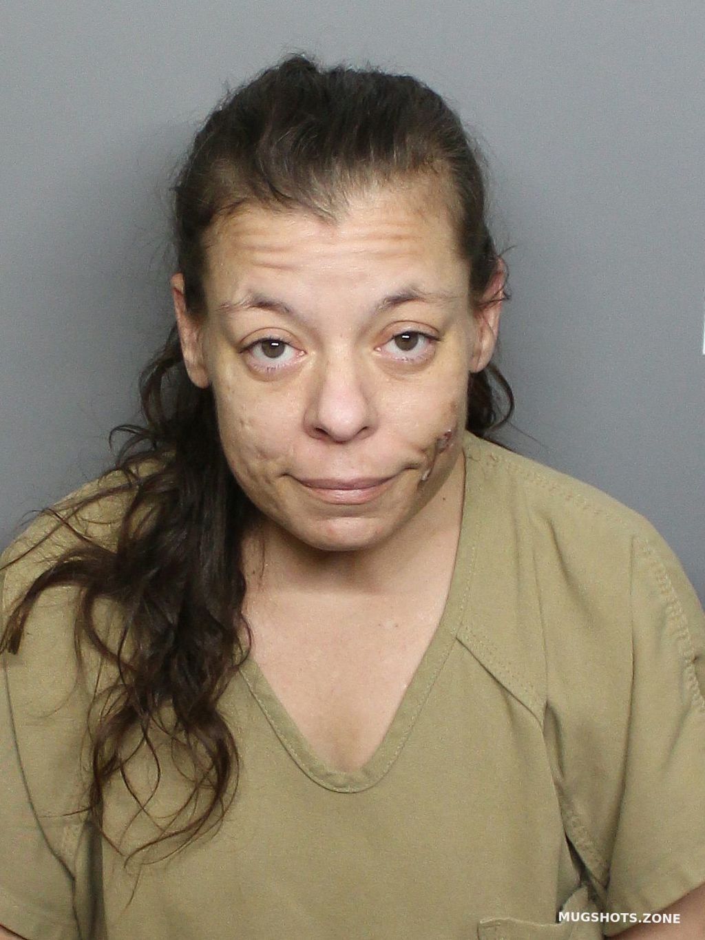 Chen Teri Renee 02 05 2023 Charlotte County Mugshots Zone