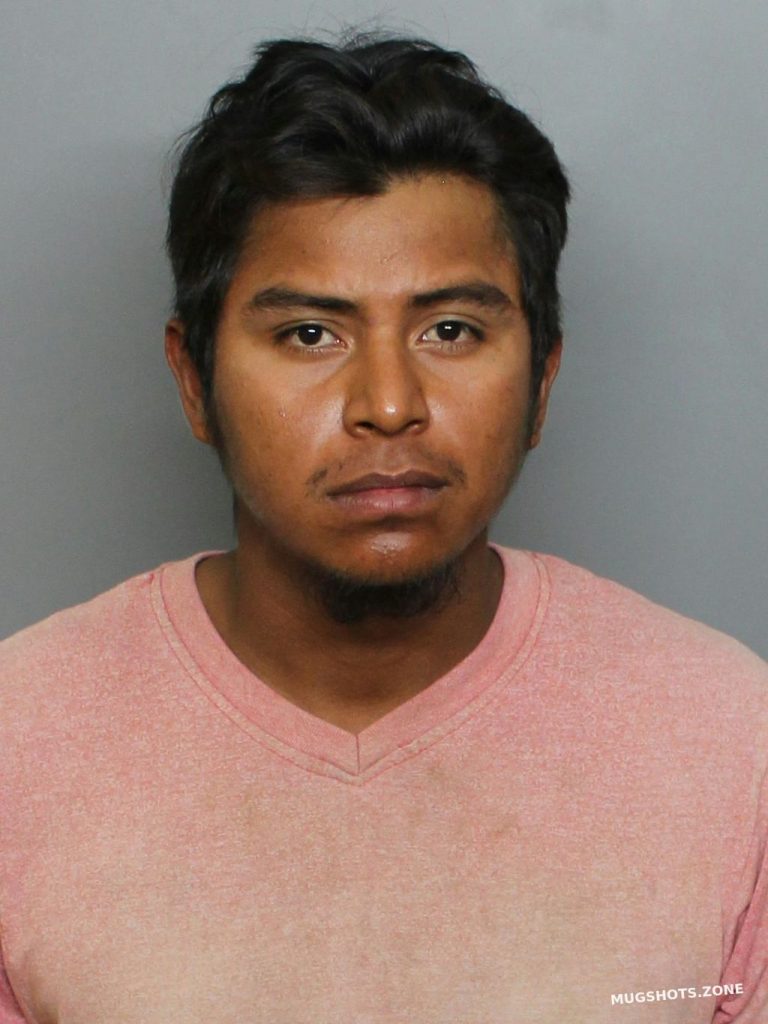 RAMON-ALEJANDRO JOSE ARMANDO 03/03/2023 - Charlotte County Mugshots Zone