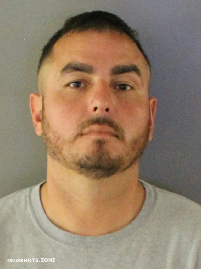 RINI WILLIAM LEONARD ROY 04/01/2023 - Charlotte County Mugshots Zone