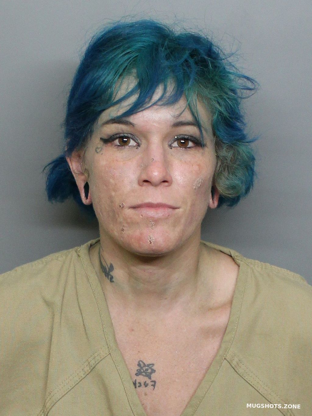 SCHELLINGER LINDA SUSAN 04/16/2023 - Charlotte County Mugshots Zone