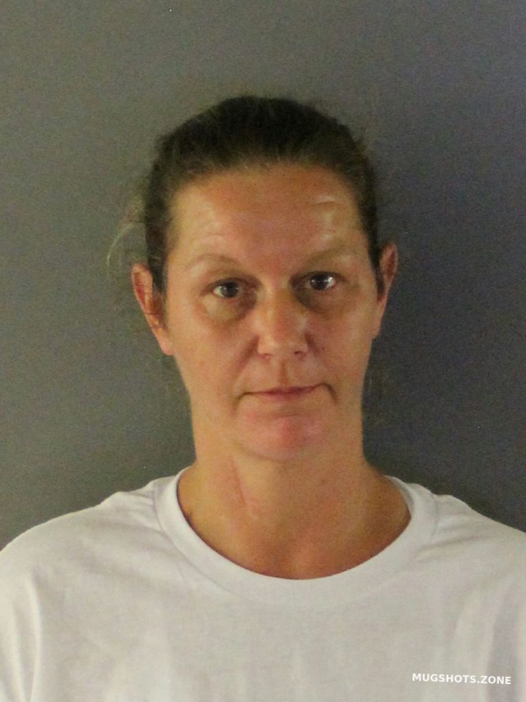 RICHARDSON TONYA ANN 06/28/2023 - Charlotte County Mugshots Zone