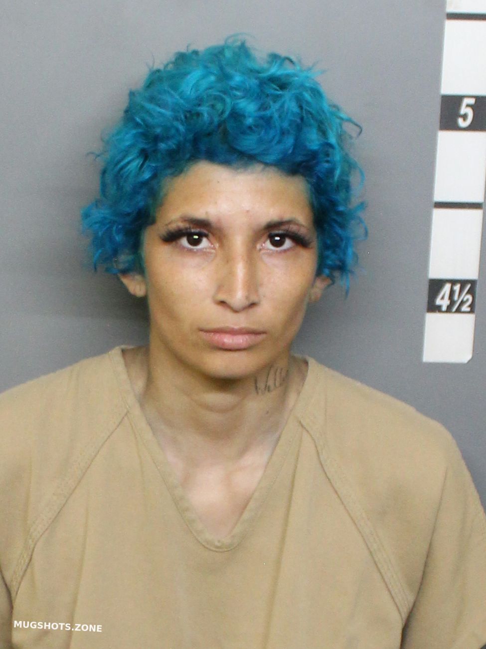 VARGAS ALLISYN MARIE 06/30/2023 - Charlotte County Mugshots Zone