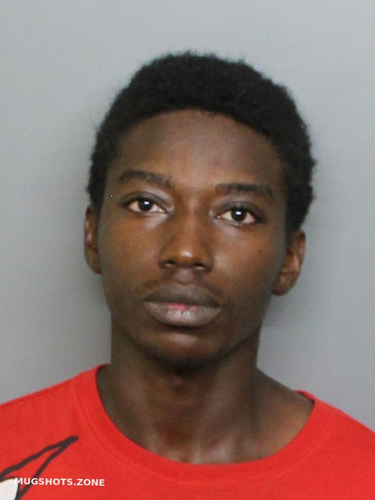 EVERETT ALVIN 08/11/2023 - Charlotte County Mugshots Zone