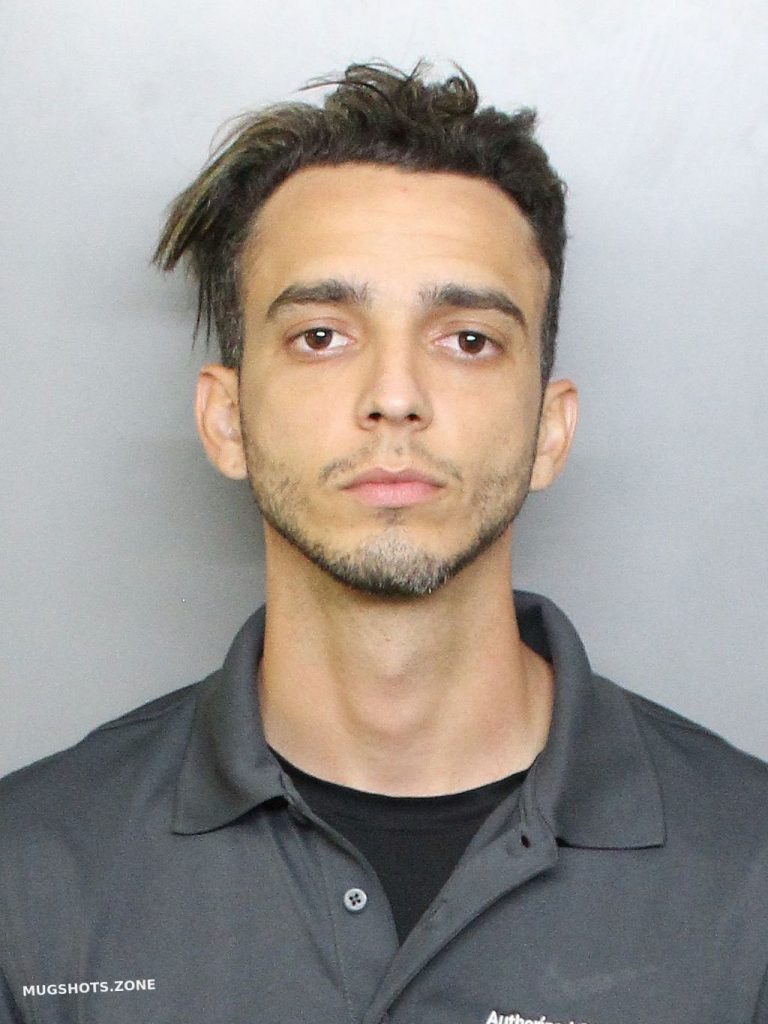 CABERA DE STORCH DARIEL 08/28/2023 - Charlotte County Mugshots Zone