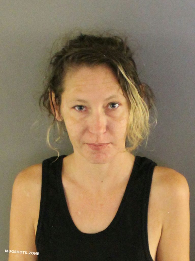 Hrzenak Sharla Renee 11 10 2023 Charlotte County Mugshots Zone