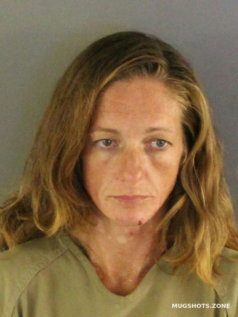 GAULT MEGAN MARIE 11/26/2023 - Charlotte County Mugshots Zone