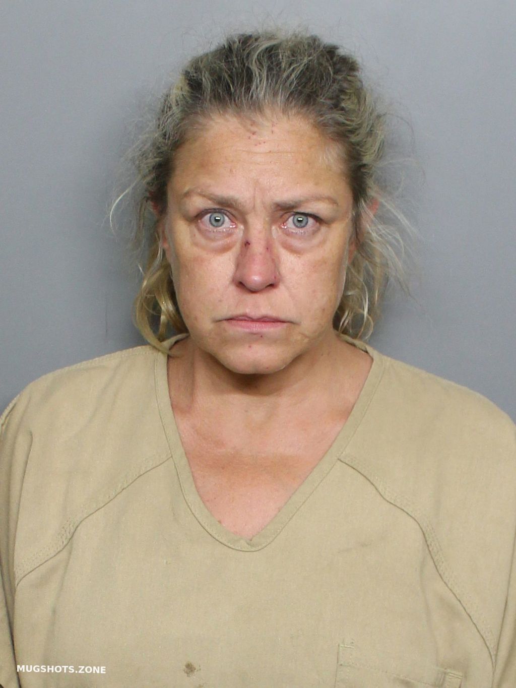 SONES LISA 01/24/2024 - Charlotte County Mugshots Zone