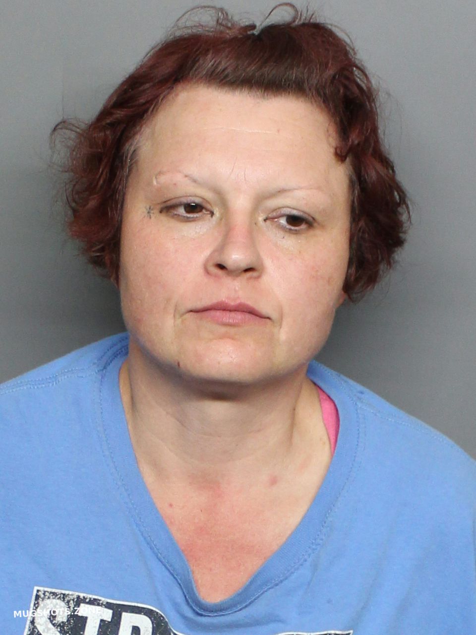 STUELKE VICKY JEAN 01/25/2024 - Charlotte County Mugshots Zone